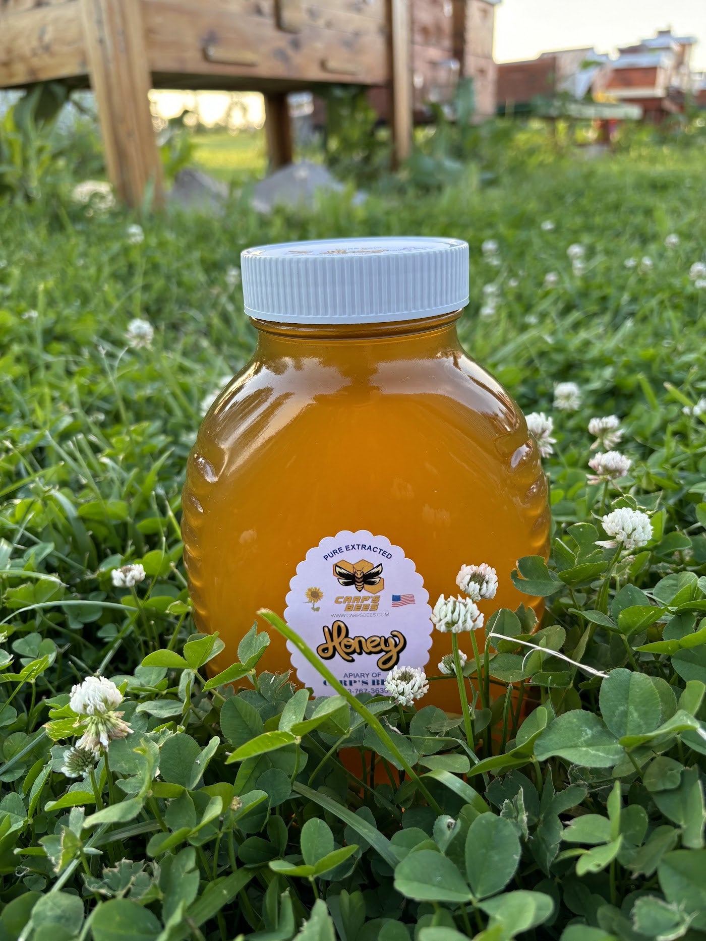 Large Glass Queenline Jar of Honey | Carp's Bees