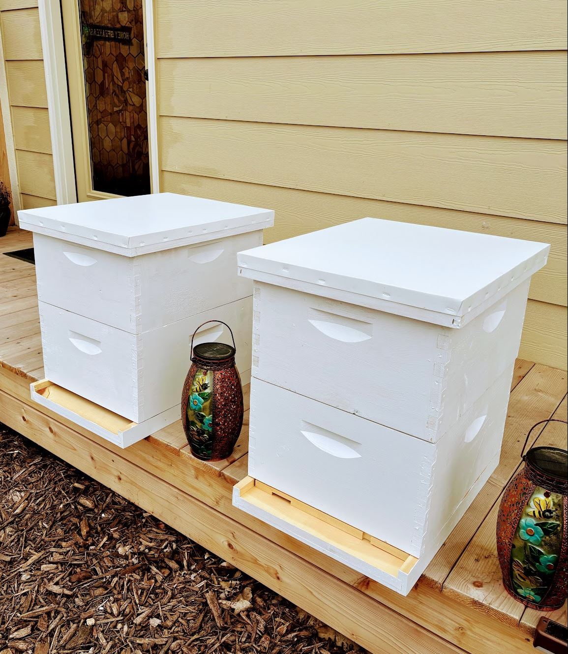 Complete Beehive Kit - Assembled & Painted | Carp's Bees