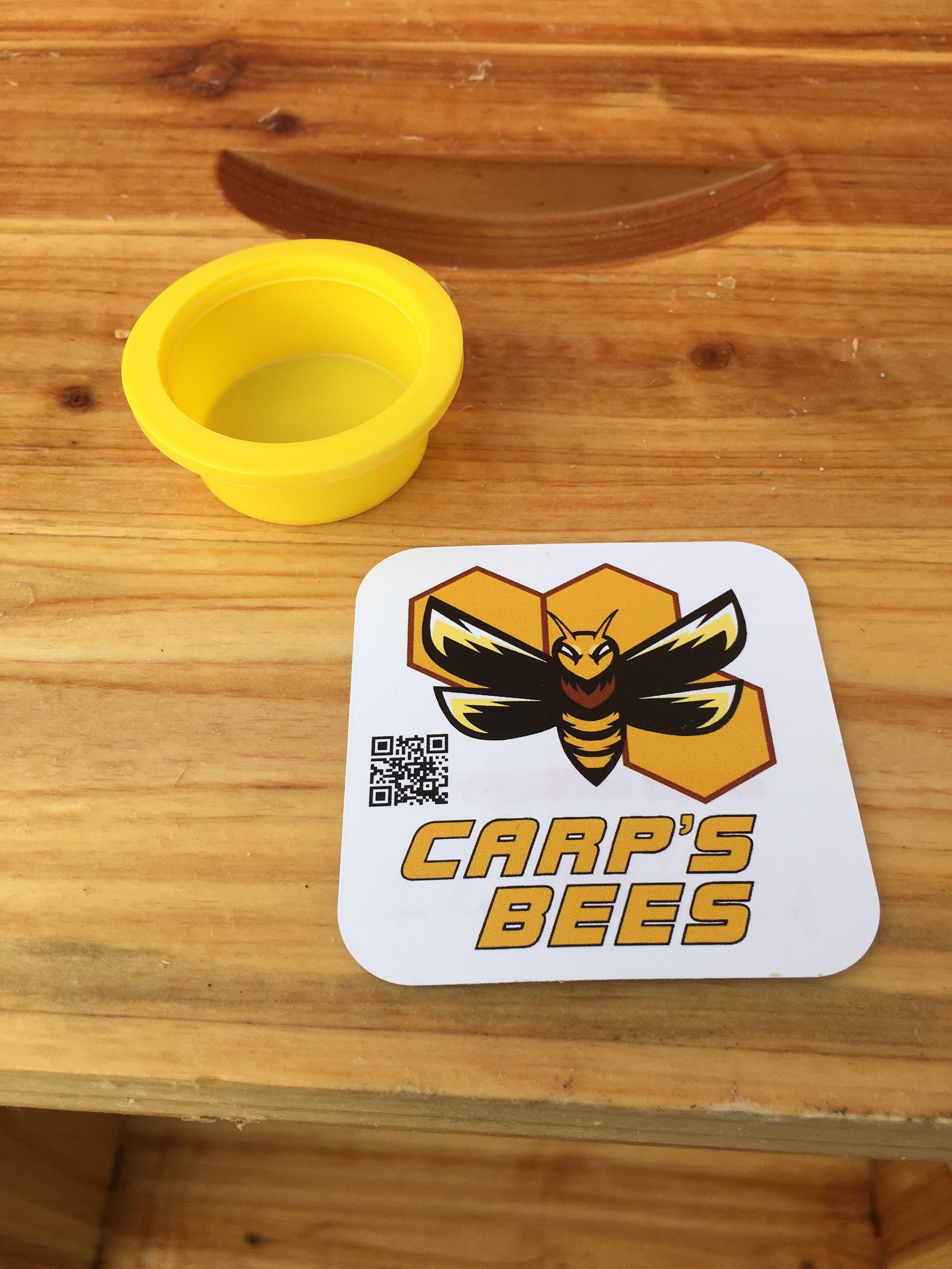 Nuc Plug | Carp's Bees