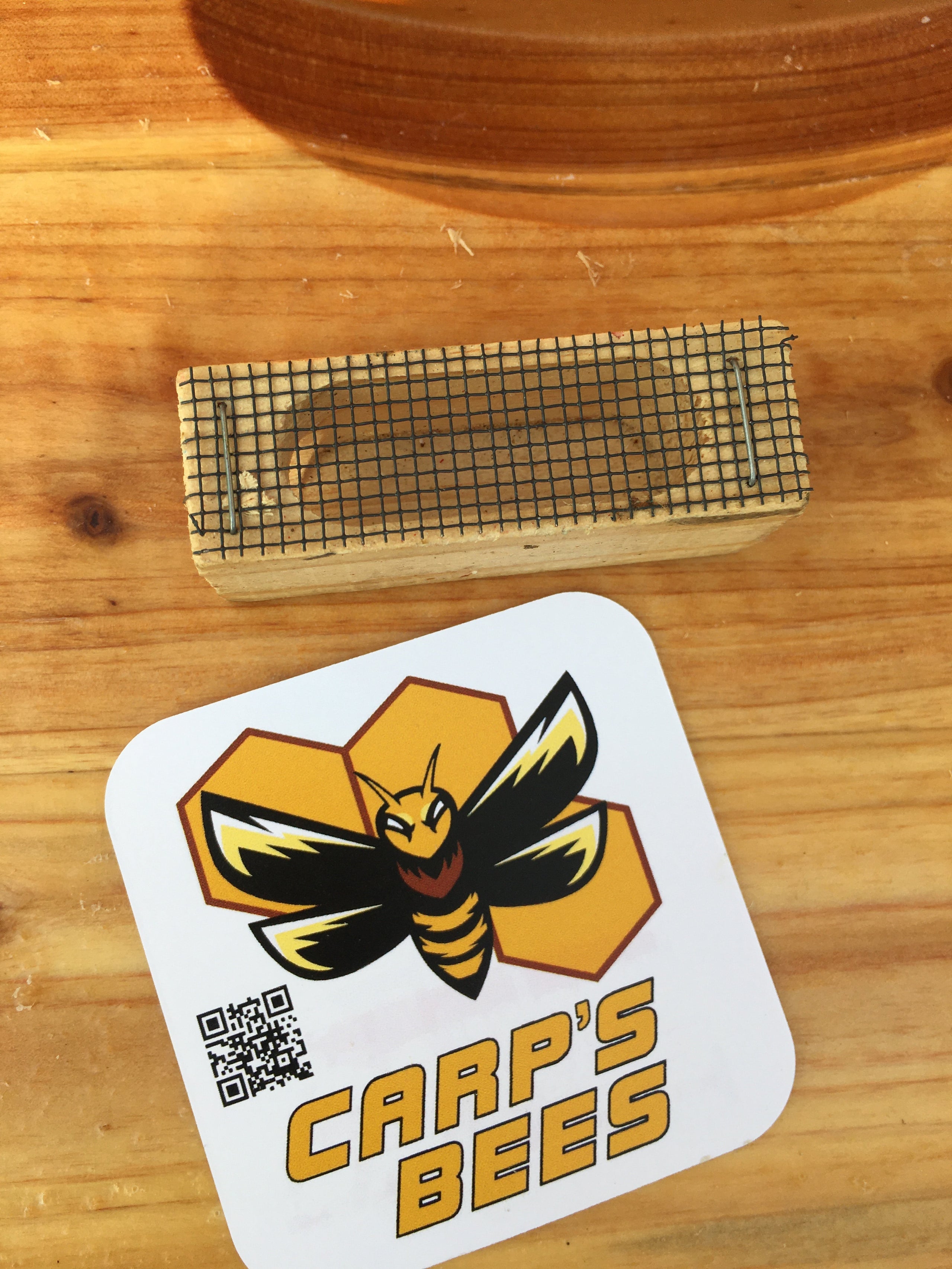 Queen Cage - California Mini | Carp's Bees